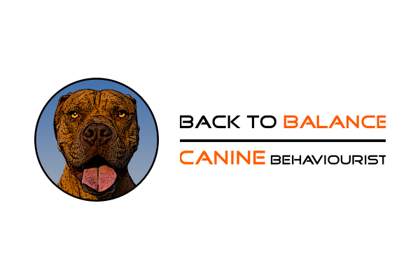 Qualified Dog Behaviourist and Dog Trainer | Oxford